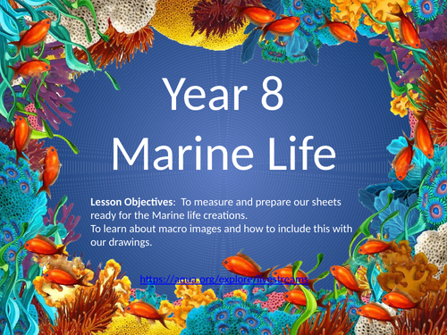 Marine Life/ Under the Sea- Year 8 | Teaching Resources