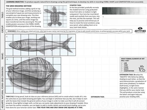 Tonal Gridded Aquatic Natural Form Drawings 1 | Teaching Resources