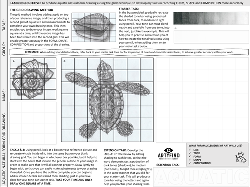 Tonal Gridded Aquatic Natural Form Drawings 2 | Teaching Resources