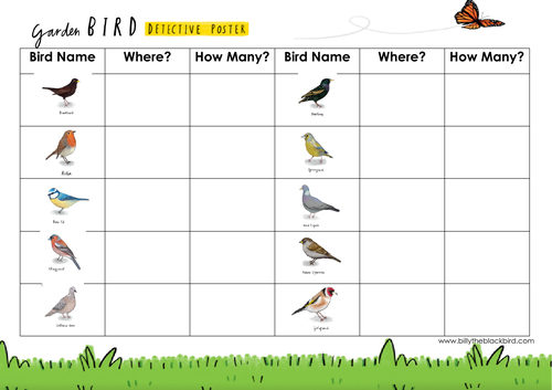 Garden Bird Bundle - fact files, tally, colouring sheets, bird feeder ...
