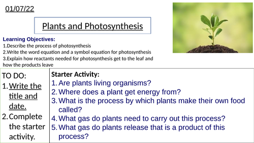 GCSE Biology Photosynthesis and Plant Organs: Complete Lesson ...