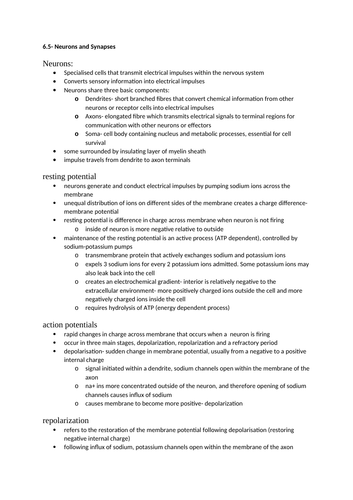 IB biology topic 6- Human Physiology | Teaching Resources
