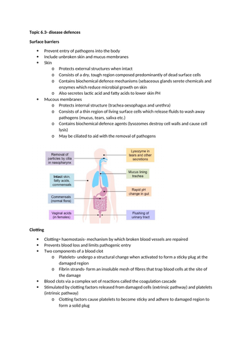 IB biology topic 6- Human Physiology | Teaching Resources IB biology topic 6- Human Physiology | Teaching Resources