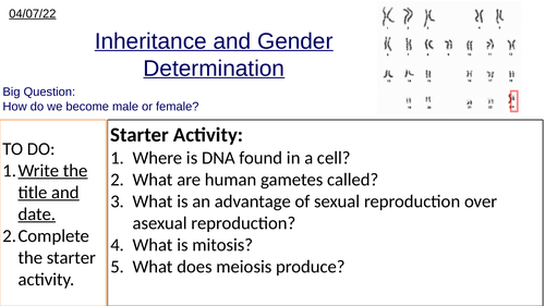 GCSE Biology Inheritance, Gender Determination and Genetic Cross ...