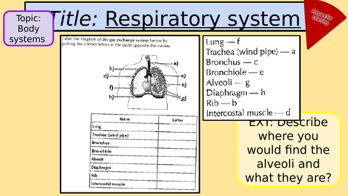 KS3 Breathing | Teaching Resources