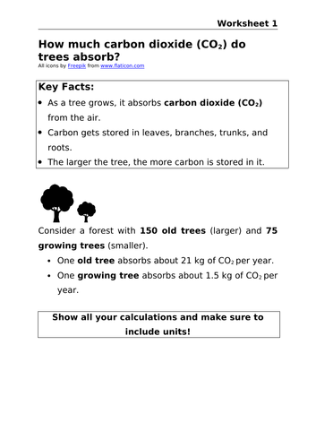 Identifying British Trees - Lesson Packs | Teaching Resources