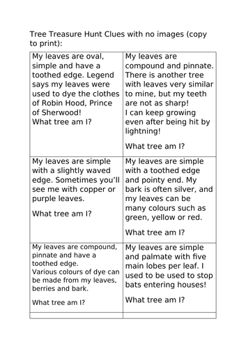 Identifying British Trees - Lesson Packs | Teaching Resources