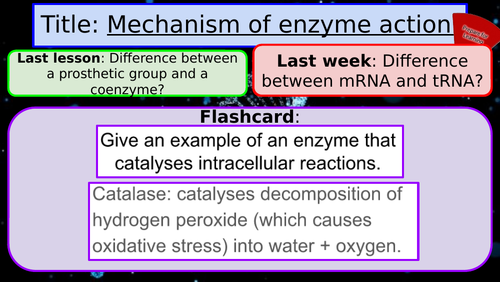 OCR A-Level Biology - Mechanism of enzyme action | Teaching Resources