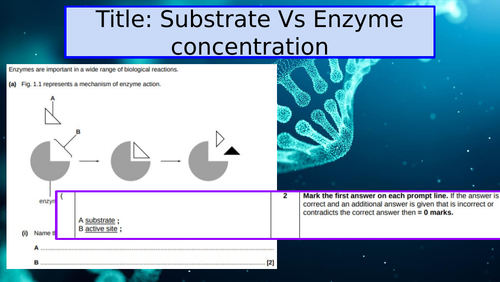 OCR A-Level Biology - Substrate Vs. Enzyme concentration | Teaching ...