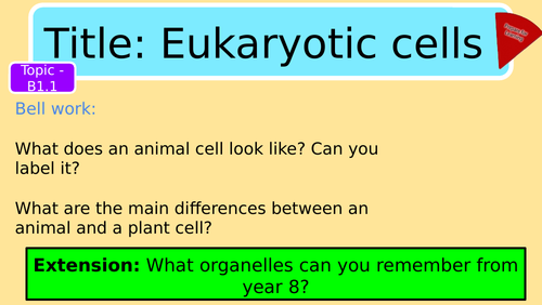Eukaryotic cells (GCSE) | Teaching Resources