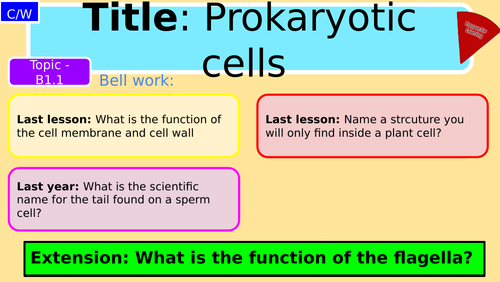 Prokaryotic cells (GCSE) | Teaching Resources