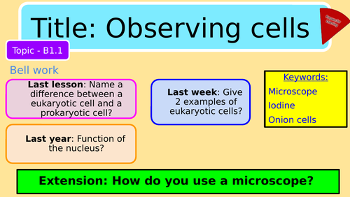 Observing cells (GCSE) | Teaching Resources
