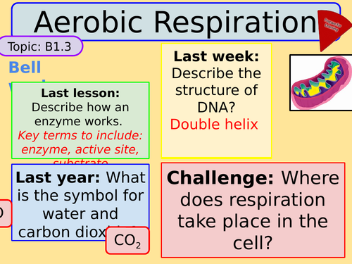 Aerobic respiration (GCSE) | Teaching Resources