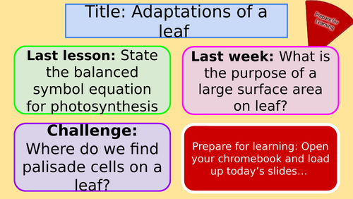 Adaptations of a leaf (GCSE) | Teaching Resources