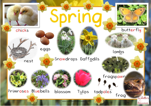4 Seasons Word Mats Phonetically Coded | Teaching Resources