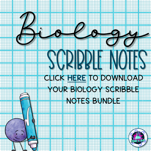 Biology Scribble Notes Bundle | Teaching Resources