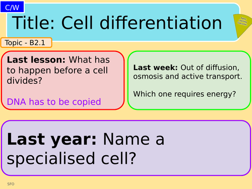 Cell differentiation (GCSE) | Teaching Resources