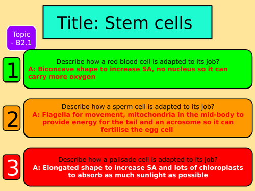 Stem cells (GCSE) | Teaching Resources