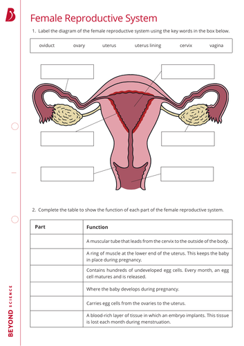 Hormones, menstrual cycle -AQA Entry Level Certificate - Component 1 ...
