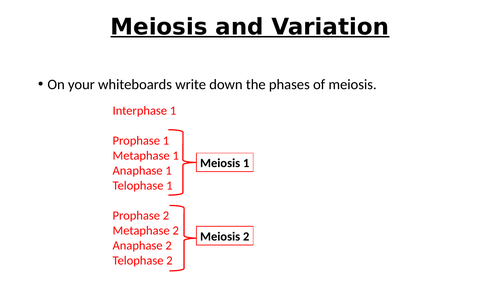 A-Level AQA Biology - Meiosis and Variation | Teaching Resources