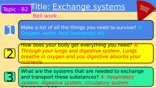 Exchange systems (GCSE) | Teaching Resources