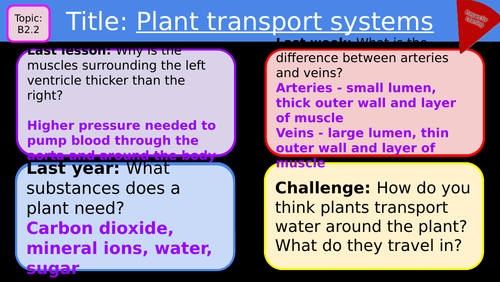 Plant transport systems (GCSE) | Teaching Resources
