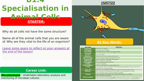 AQA GCSE NEW SPECIFICATION - B1.4 Specialisation in Animal Cells ...