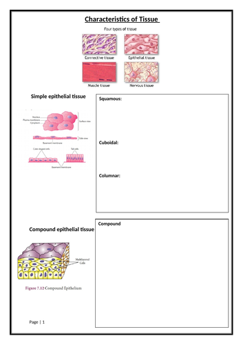 A&P for H&SC Unit 3 | Teaching Resources