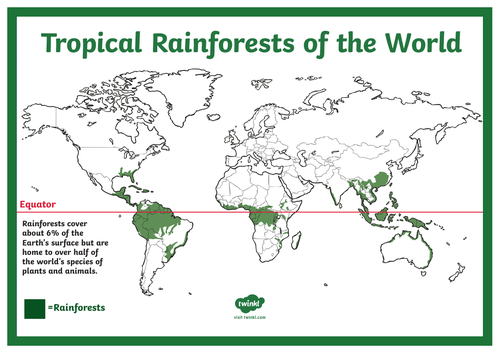 What is a Rainforest? | Teaching Resources