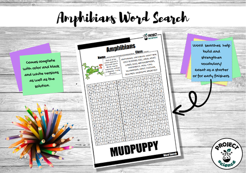 Amphibians Word Search | Teaching Resources