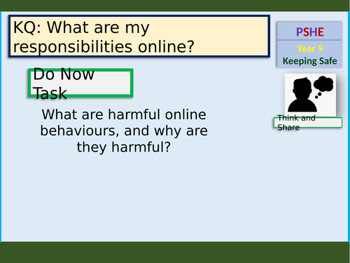 Responsible Online Behaviour PSHE lesson | Teaching Resources