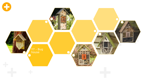 Bug house project - KS3 | Teaching Resources