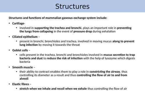 Exchange surfaces and Breathing - Chapter 7 | Teaching Resources