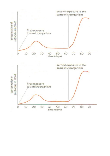 Human Defences | Teaching Resources