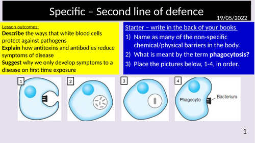 Human Defences | Teaching Resources
