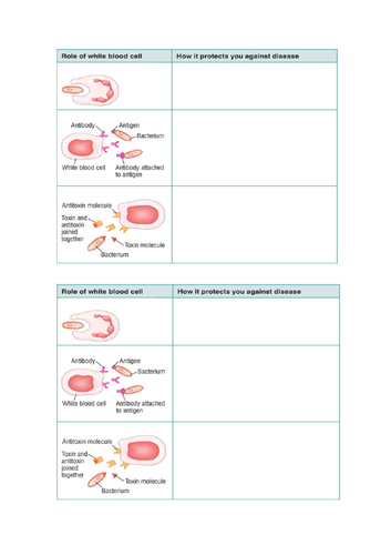 Human Defences | Teaching Resources