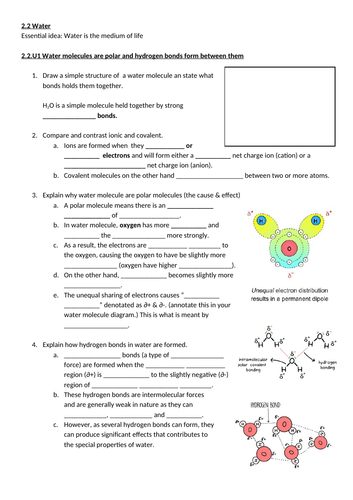 IB Biology Topic 2 Molecular Biology & Topic 8 Metabolism, Respiration ...
