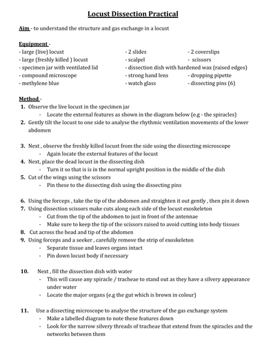 A level Edexcel Biology B - Topic 4 - Gas Exchange in Animals and ...