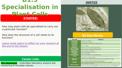Aqa Gcse New Specification B1 5 Specialisation In Plant Cells