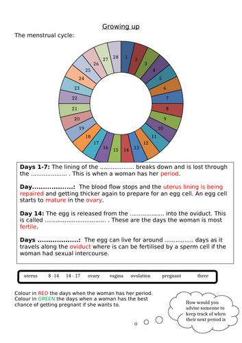 Puberty - KS3/KS2 Science | Teaching Resources