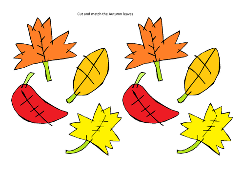 Autumn Leaves Cut, Match, Colour, Display | Teaching Resources
