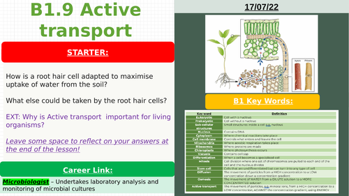 Aqa Gcse New Specification B1 9 Active Transport Teaching Resources