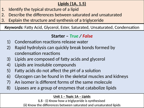 1.5 - Lipids & Ester Bonds (IAL Biology - Edexcel) | Teaching Resources