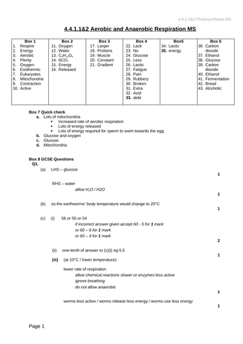Aerobic and Anaerobic respiration | Teaching Resources