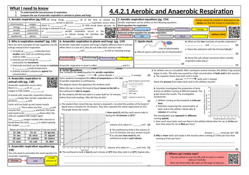 Aerobic and Anaerobic respiration | Teaching Resources