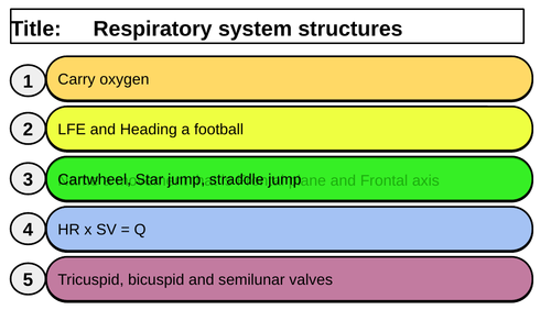 Cardiovascular and Respiratory systems | Teaching Resources