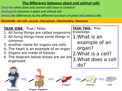 L1 to L3 - 1.1, 2.1 to 2.4 - Life Processes & Cells (IGCSE Biology ...