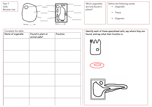 Year 7 KS3 Cells revision mat | Teaching Resources