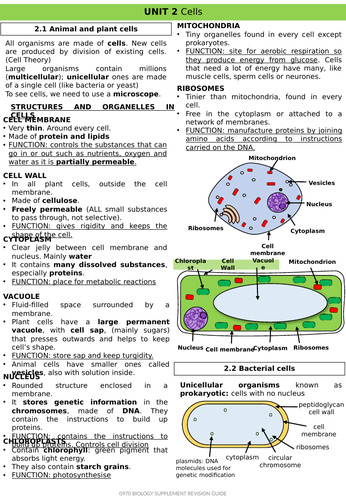 CELLS AND CLASSIFICATION GUIDE GCSE | Teaching Resources