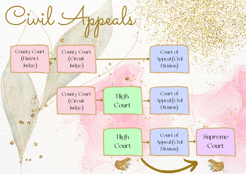 A-Level Law: Civil Appeals Poster | Teaching Resources